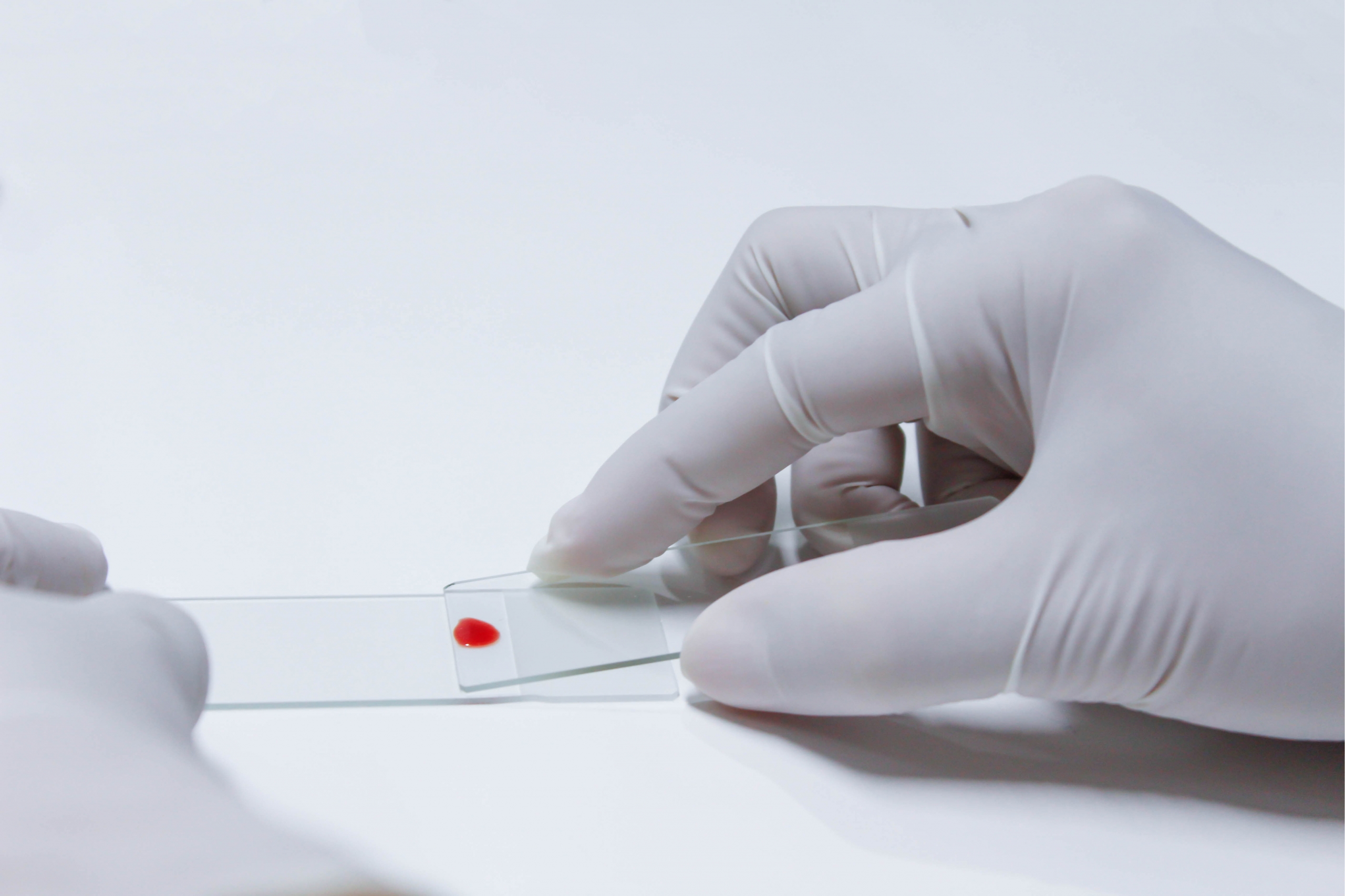 More From Jason • The Blood Project