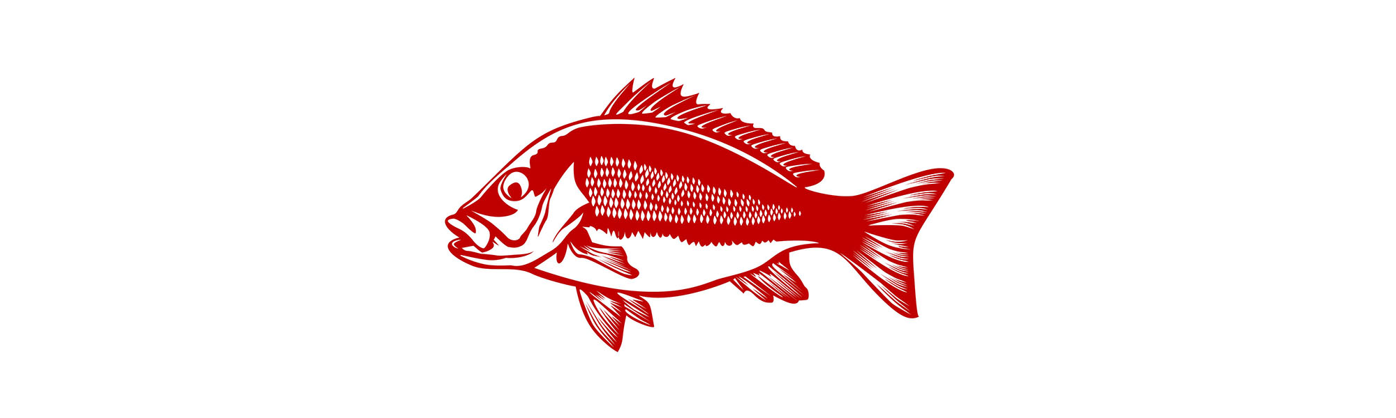 Fish-shaped red cells • The Blood Project