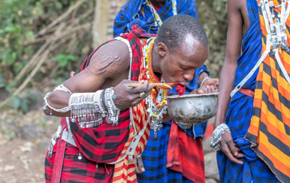 Blood and Society • The Blood Project