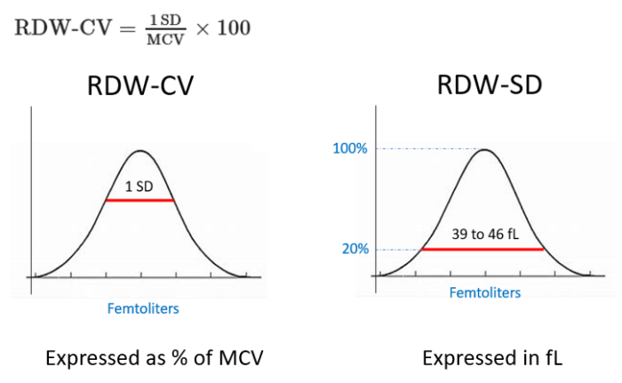 Quiz 1 - Red Cell Indices • The Blood Project