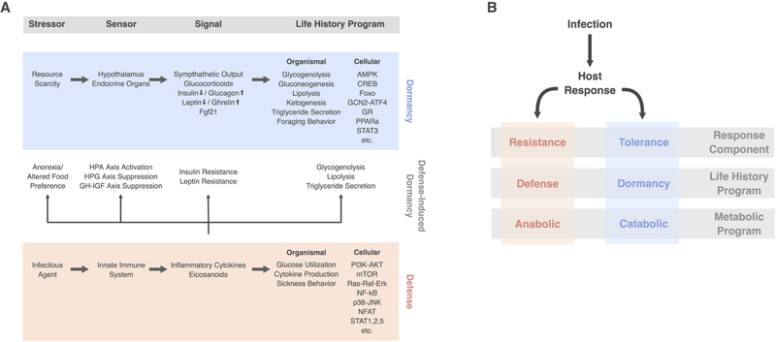 An introduction to evolutionary medicine • The Blood Project
