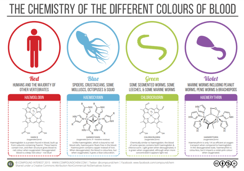 Did You Know That Not All Blood is Red? • The Blood Project