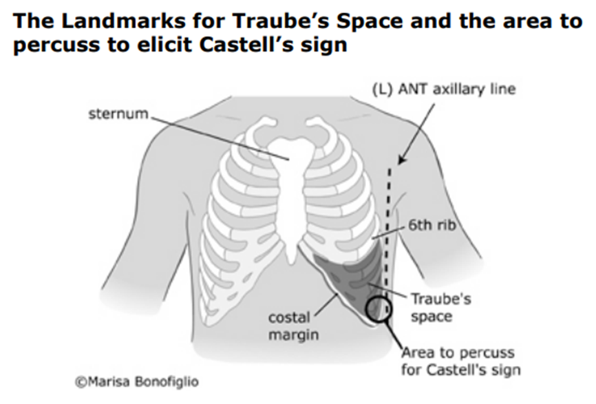 Physical Exam • The Blood Project