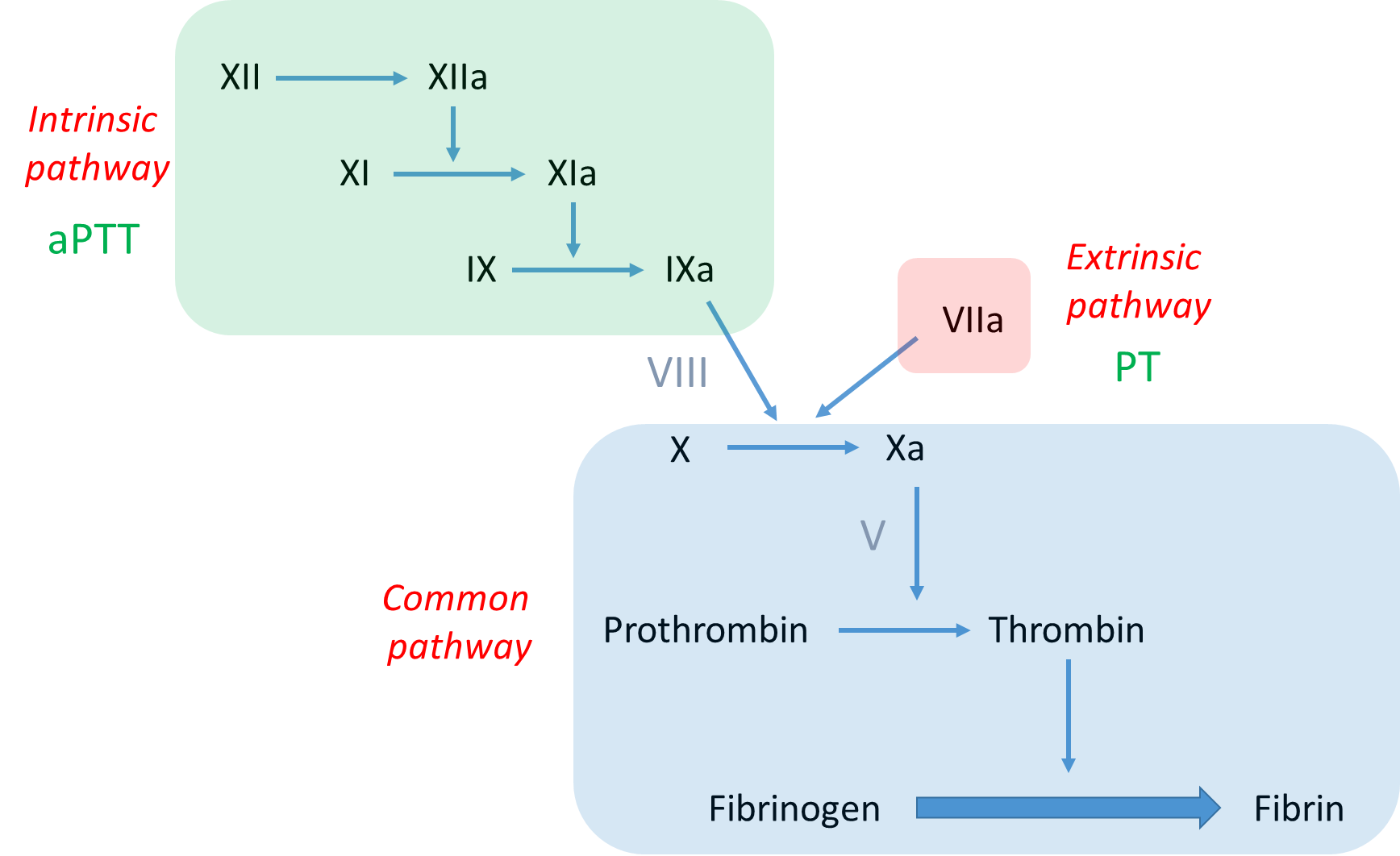 67 year-old man with postoperative bleeding and an elevated aPTT • The ...