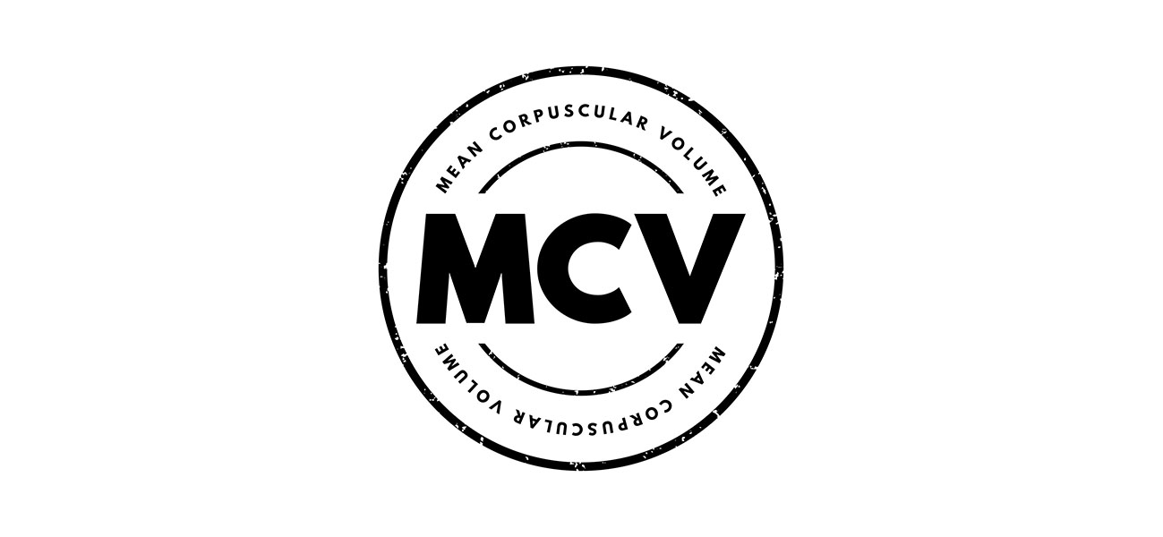 Correction of MCV After Liver Transplant • The Blood Project