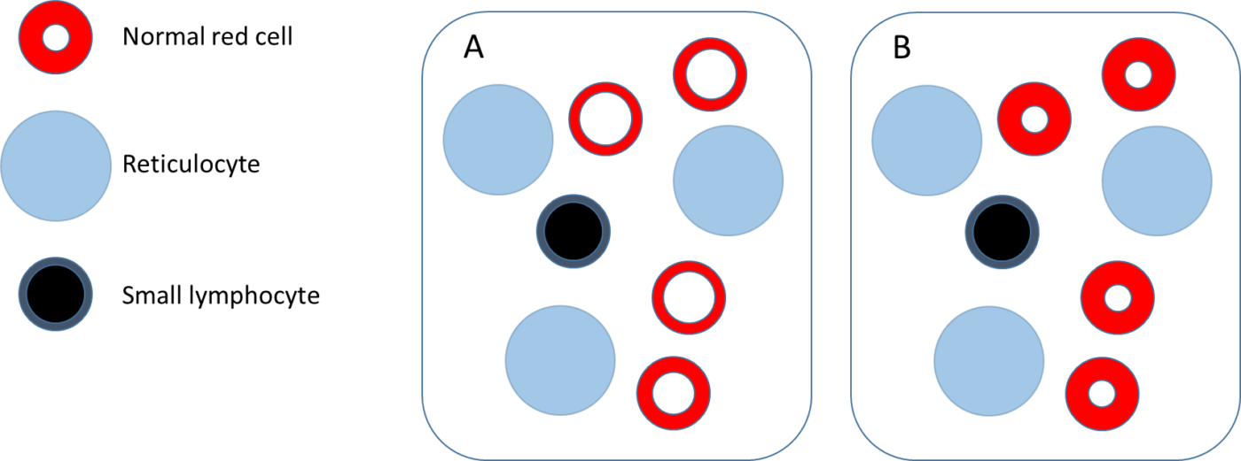 A single lab value • The Blood Project