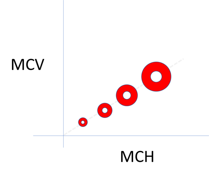 Workings backward from an elevated MCV • The Blood Project
