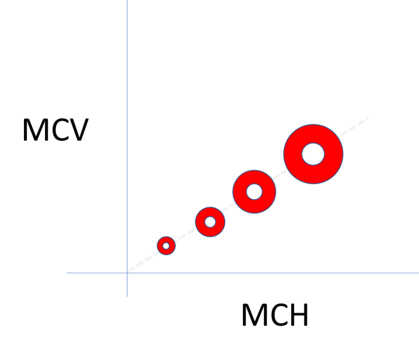Workings backward from an elevated MCV • The Blood Project