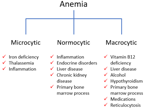 A single lab value • The Blood Project