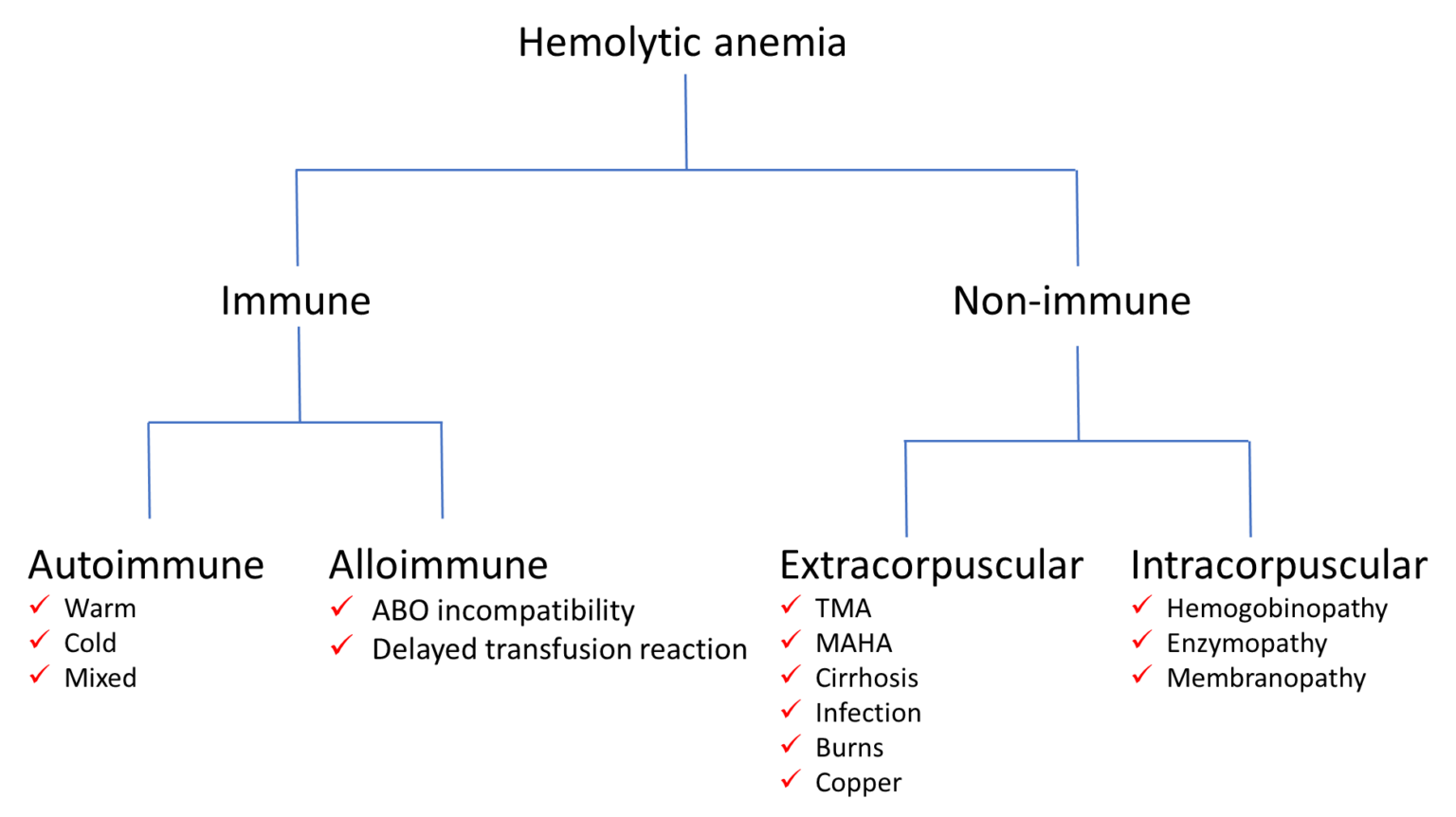 Preparing to see the patient • The Blood Project