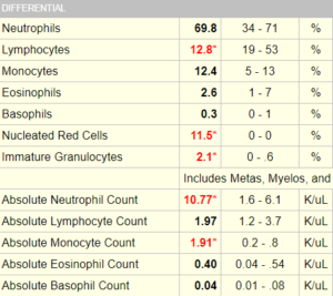 Imaging and Labs • The Blood Project