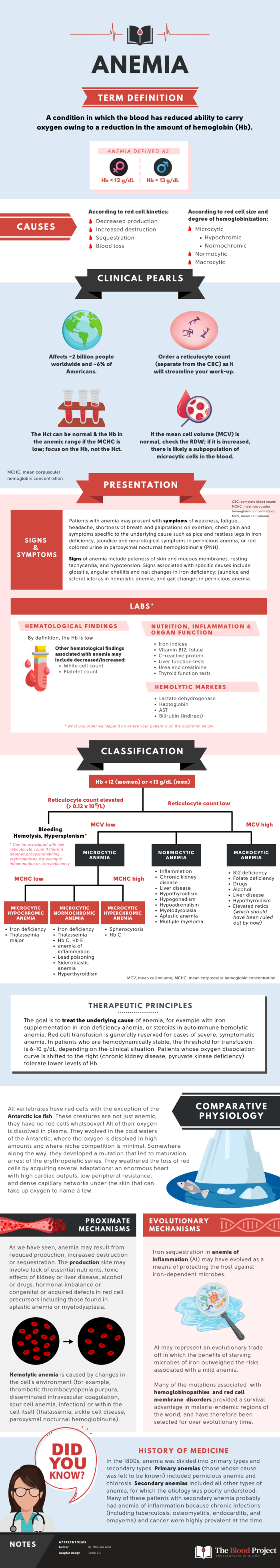 Anemia • The Blood Project
