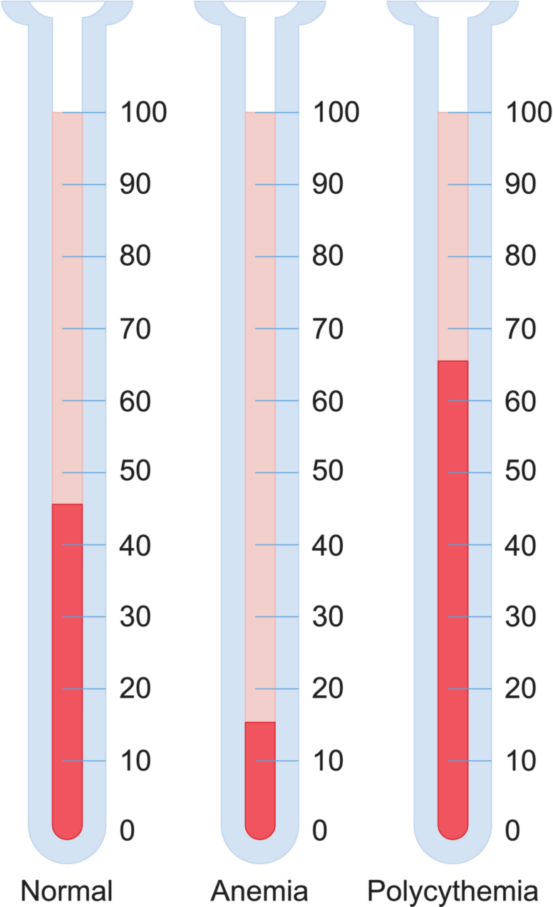 Introduction • The Blood Project
