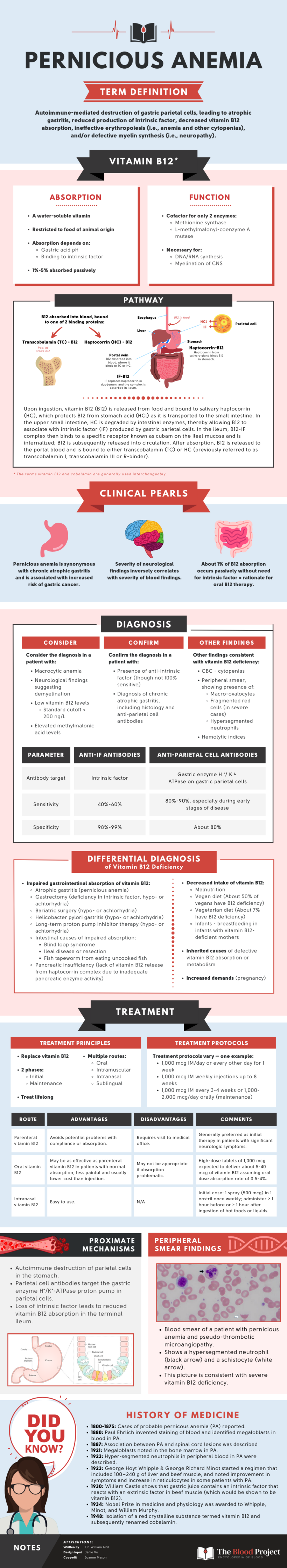 Pernicious Anemia • The Blood Project