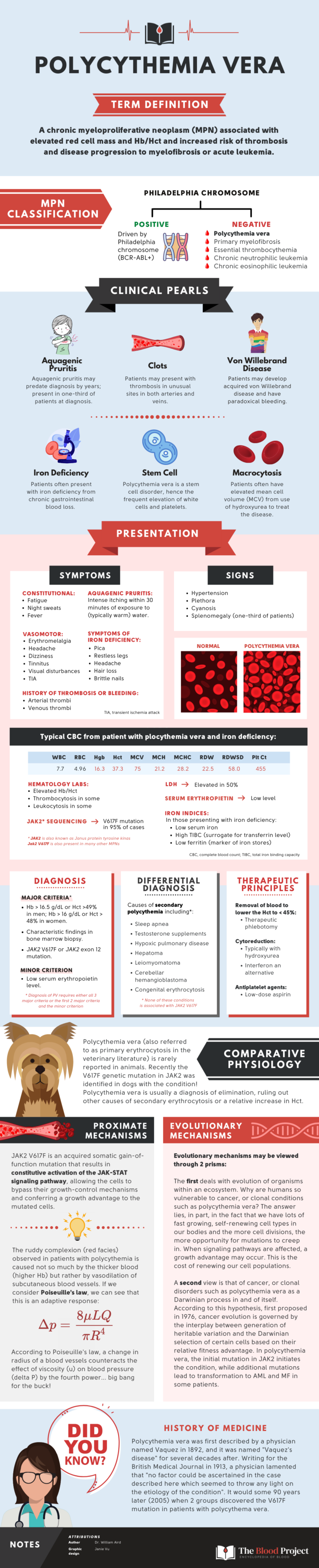 Polycythemia Vera • The Blood Project