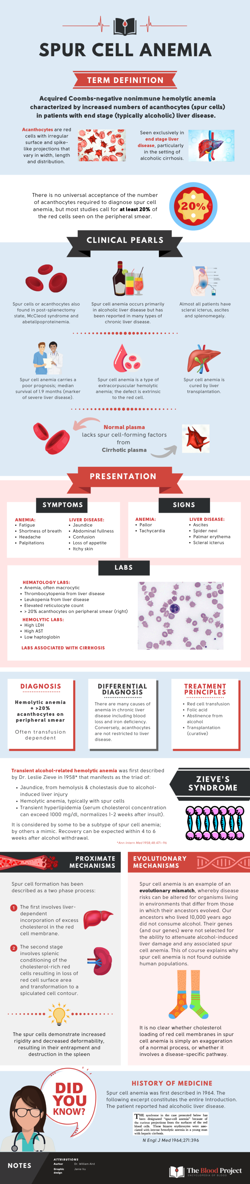 Spur cell Anemia • The Blood Project