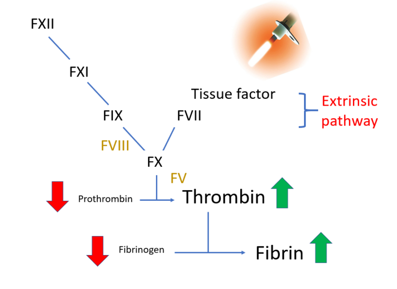 Labs • The Blood Project