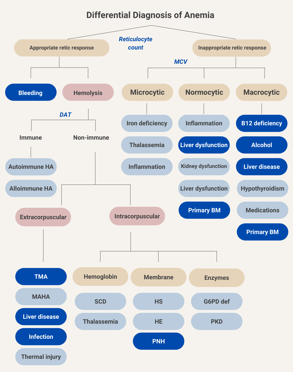 Labs • The Blood Project