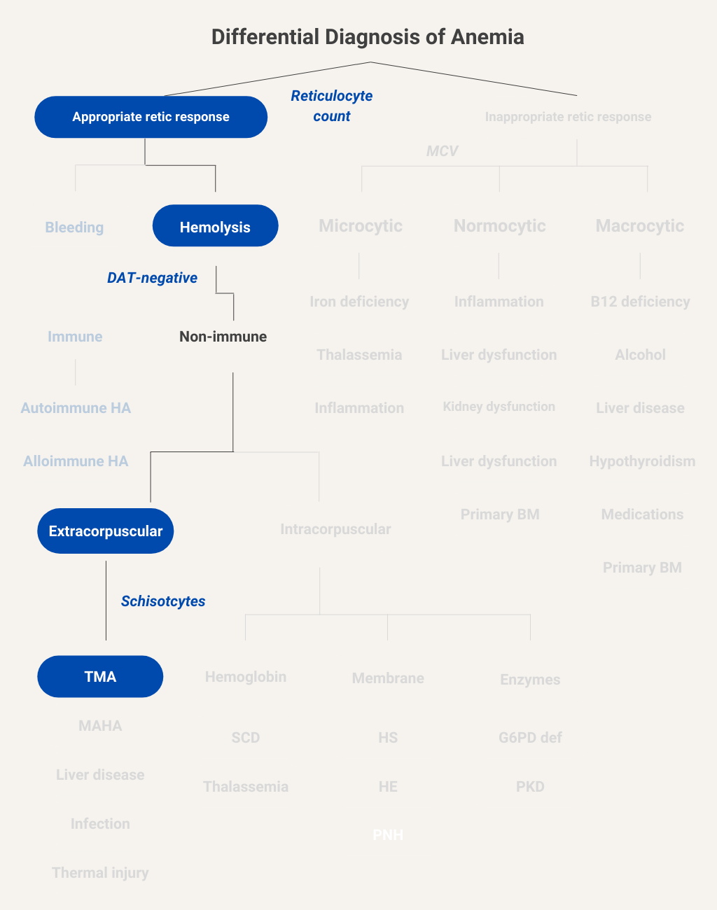 Labs • The Blood Project