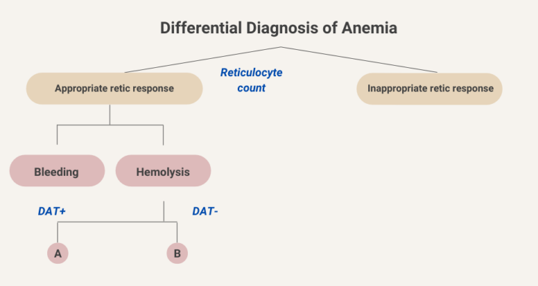 Labs • The Blood Project