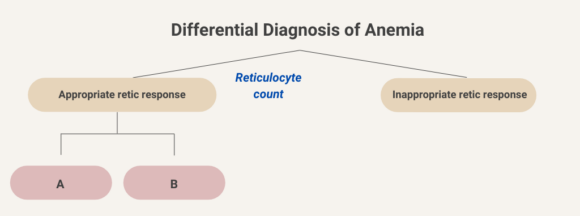 Labs • The Blood Project