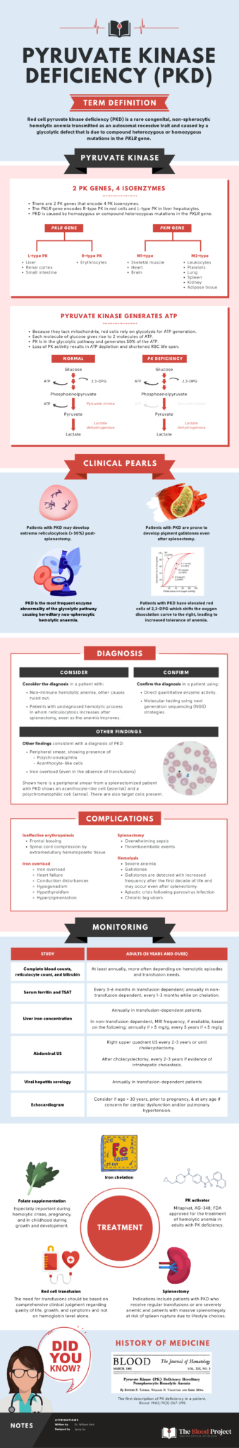 Pyruvate Kinase Deficiency (PKD) • The Blood Project