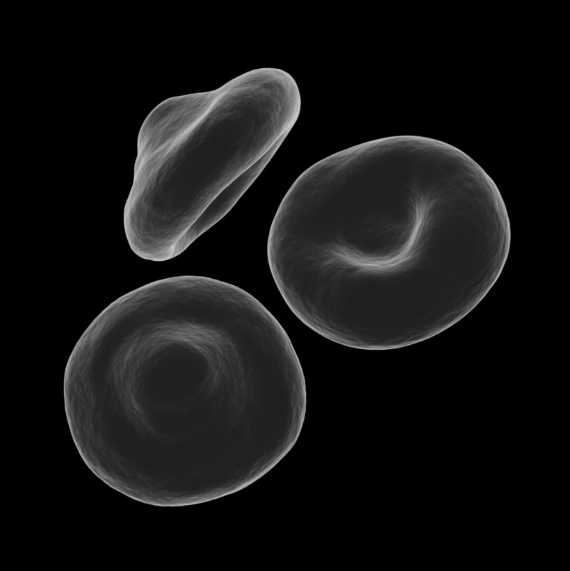 Target Cell • The Blood Project