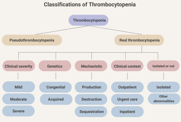 Algorithms and Flowcharts • The Blood Project
