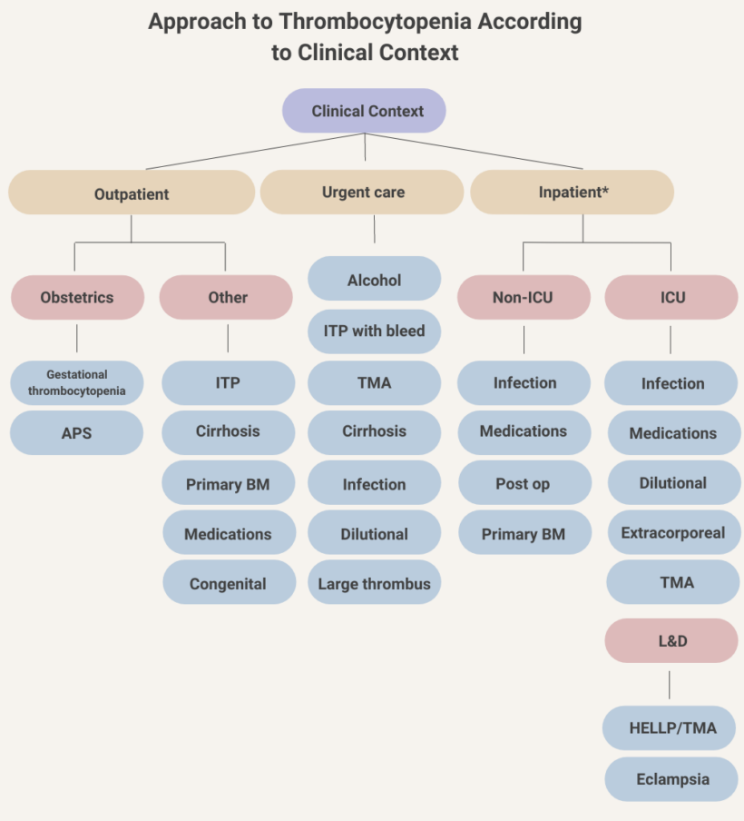 Differential Diagnosis • The Blood Project