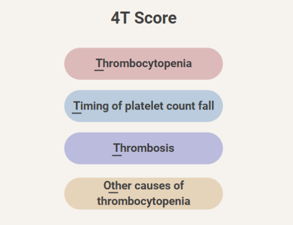Algorithms and Flowcharts • The Blood Project