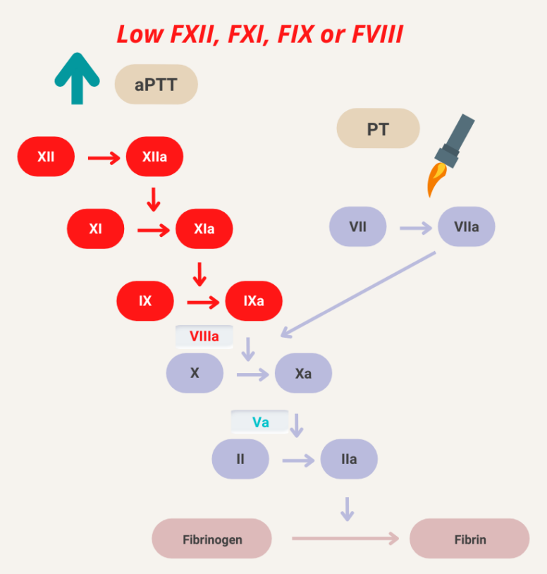 What Are Causes Of An Isolated Elevation Of Activated Partial