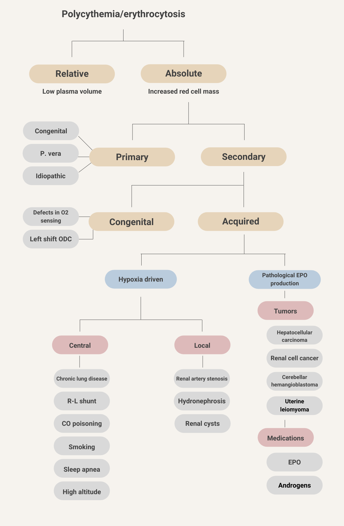 How is erythrocytosis classified? • The Blood Project