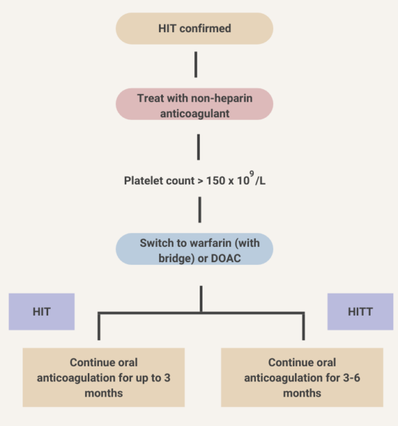 Algorithms and Flowcharts • The Blood Project