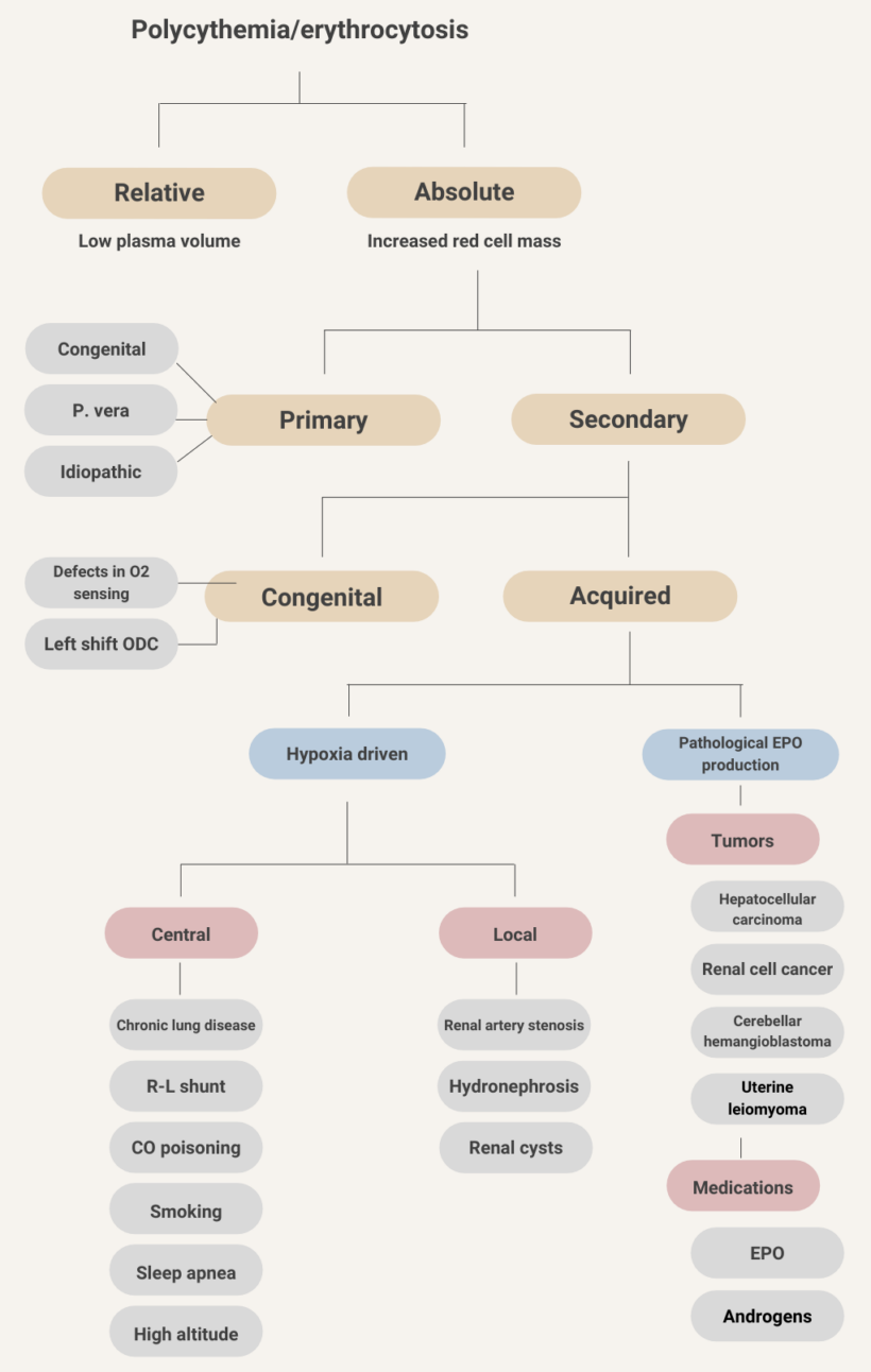 What are causes of erythrocytosis? • The Blood Project