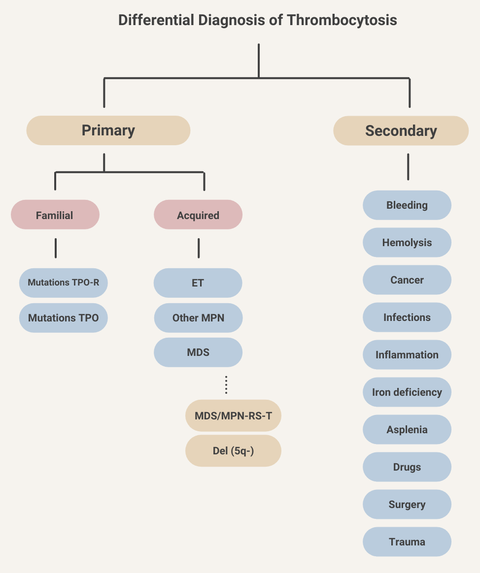 How is thrombocytosis classified? • The Blood Project
