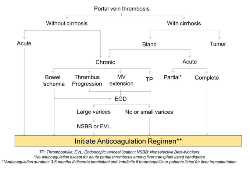 What are indications for anticoagulation in a patient with chronic ...