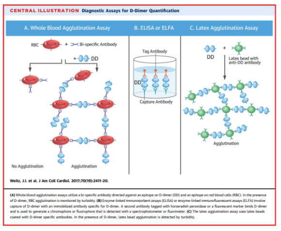 D-Dimers • The Blood Project