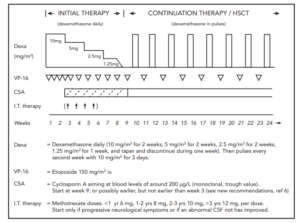 What is the HLH-94 treatment protocol? • The Blood Project