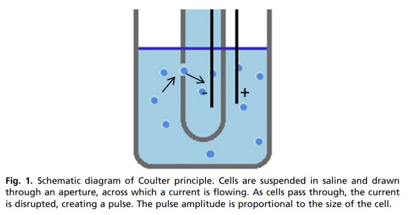 What is a Coulter counter? • The Blood Project