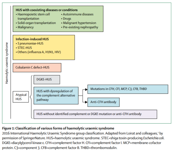 How is hemolytic uremic syndrome (HUS) classified? • The Blood Project