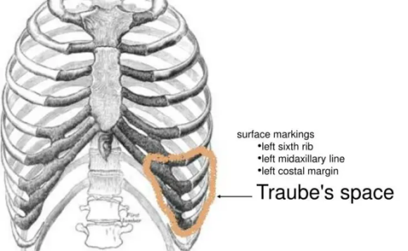 Knowledge Check • The Blood Project