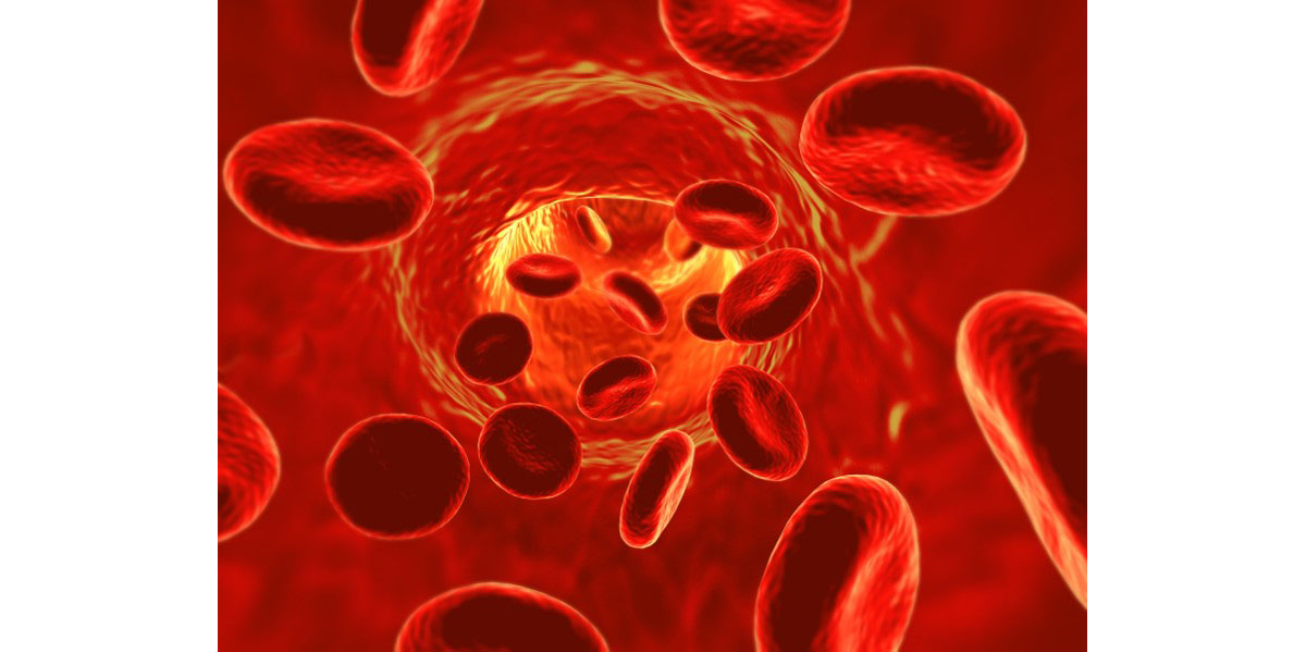 Blood in Sports Drug Testing: Biological Matrix and Doping Agent • The ...