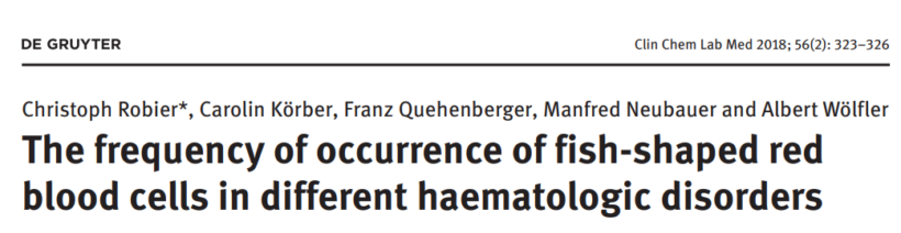 Postcript • The Blood Project