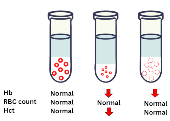 Preparing to see the patient • The Blood Project