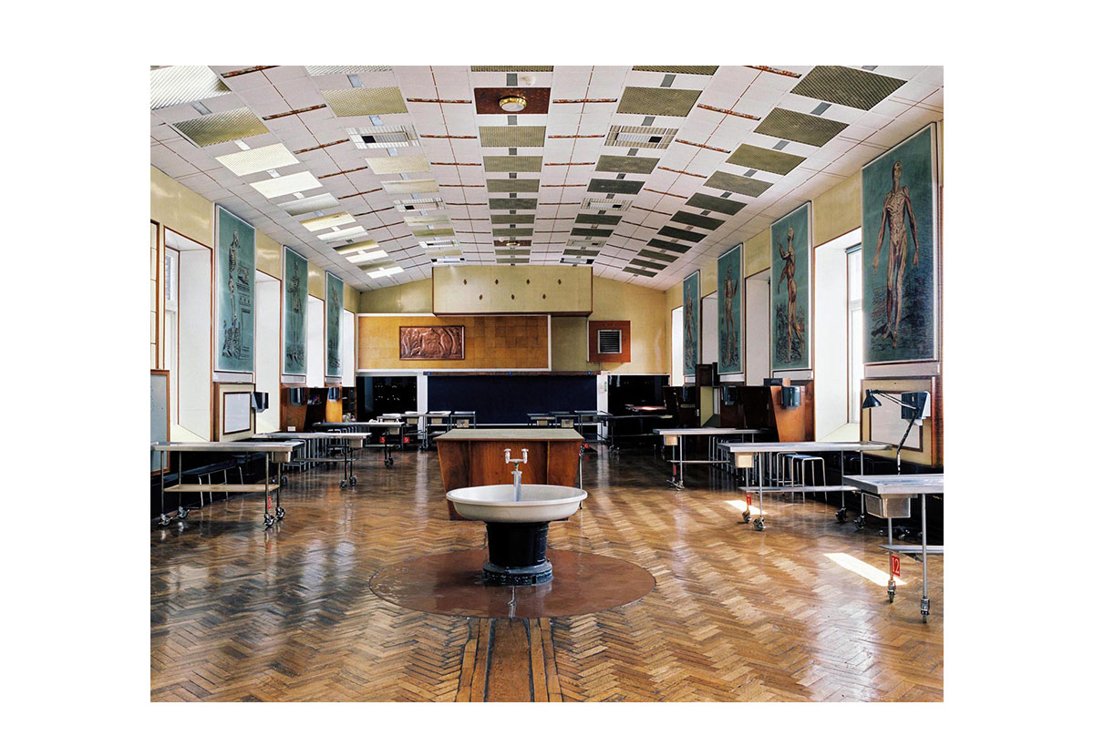 Art Interpretation - Exercise #8 • The Blood Project