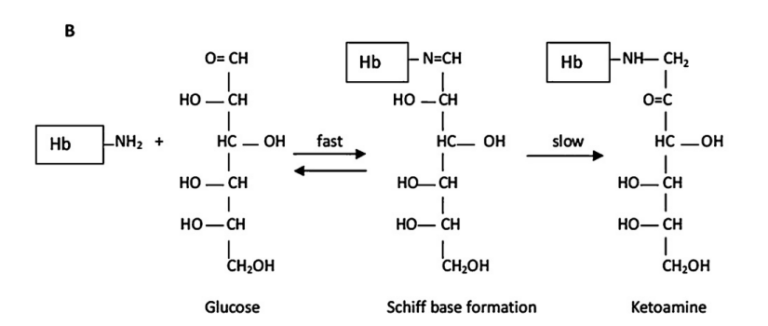 Postscript • The Blood Project