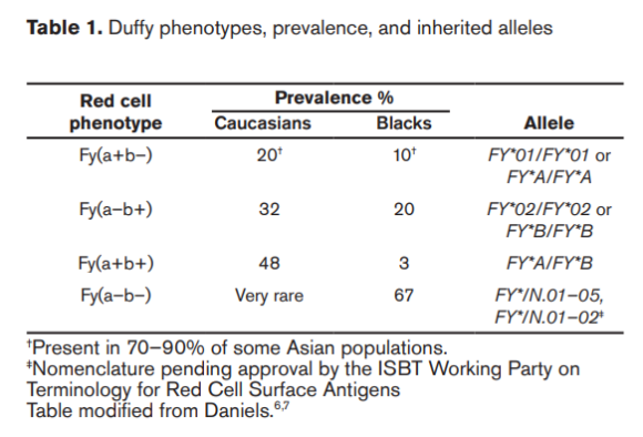 Postscript • The Blood Project
