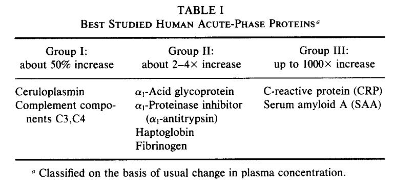 Postscript • The Blood Project