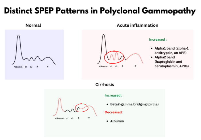 Postscript • The Blood Project