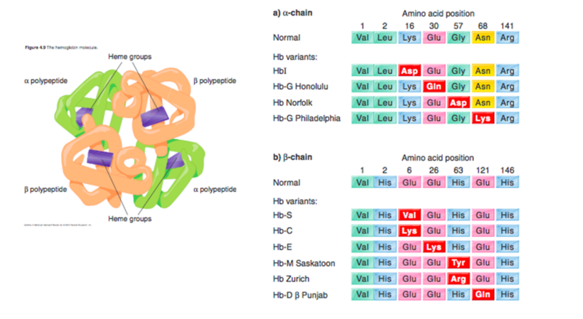 About the Condition • The Blood Project